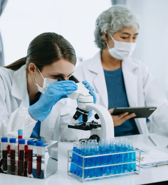 Why Study Pharmacy | National Australian Pharmacy Students’ Association ...